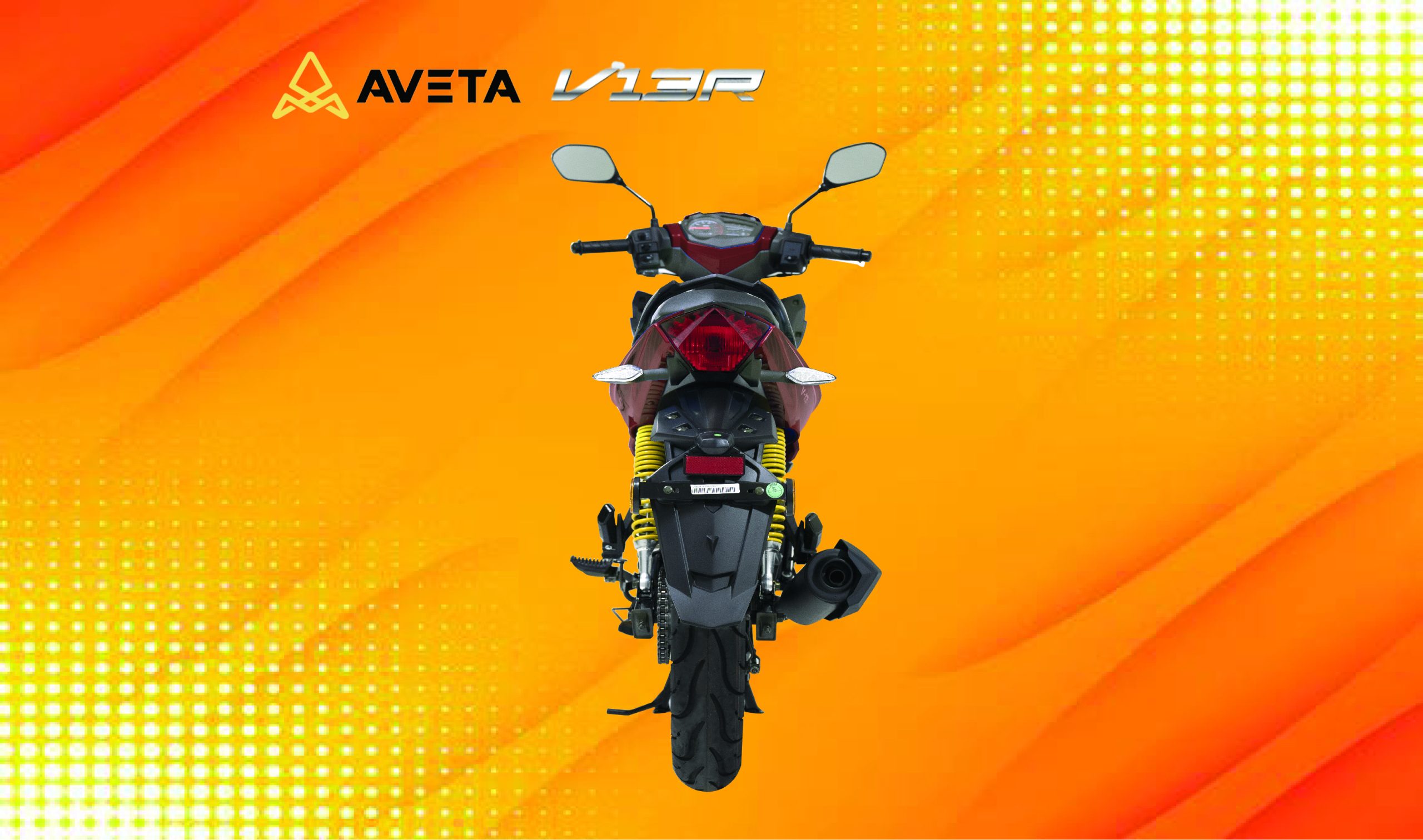 AVETA V13R – Max Speed Motors