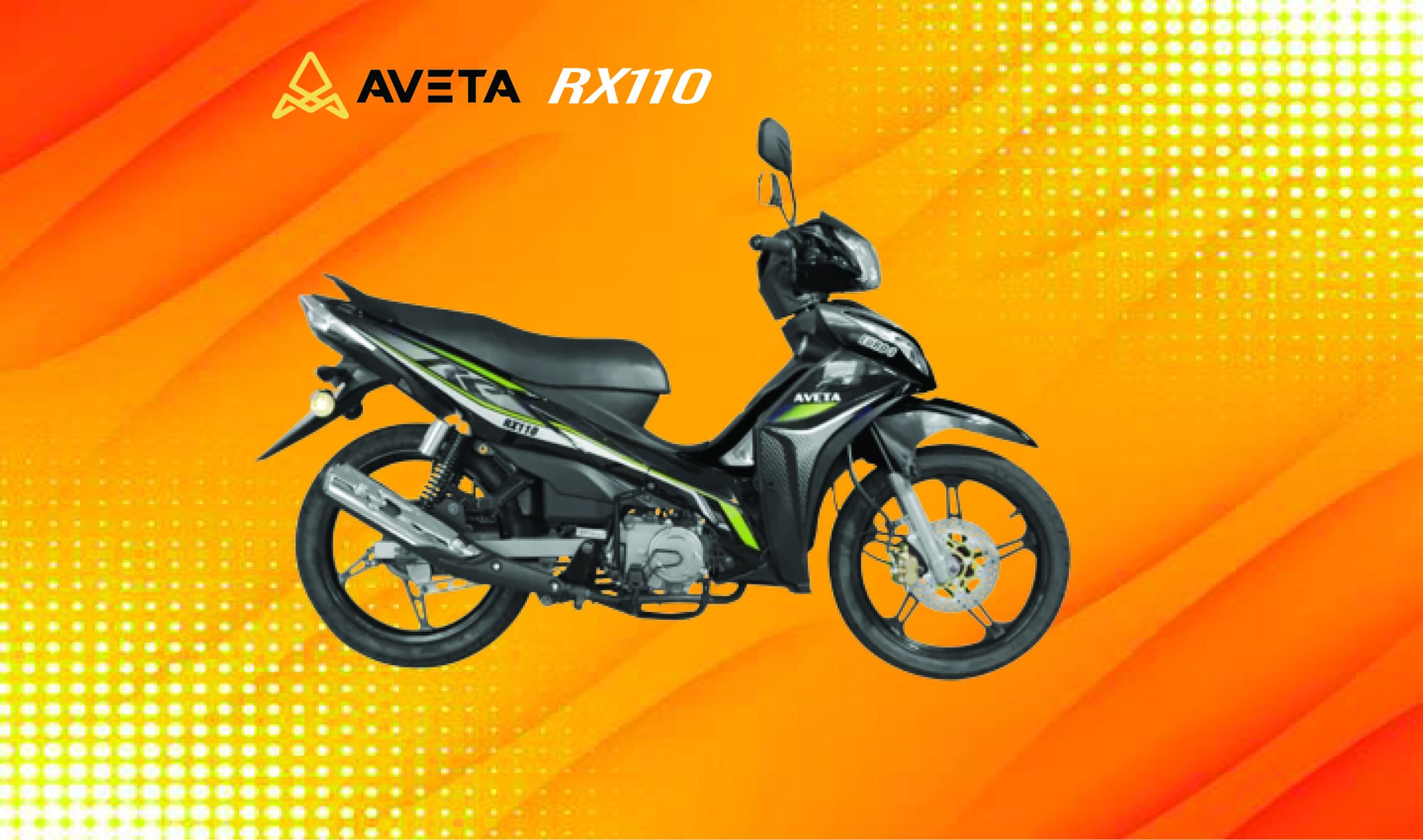 AVETA RX110 – Max Speed Motors