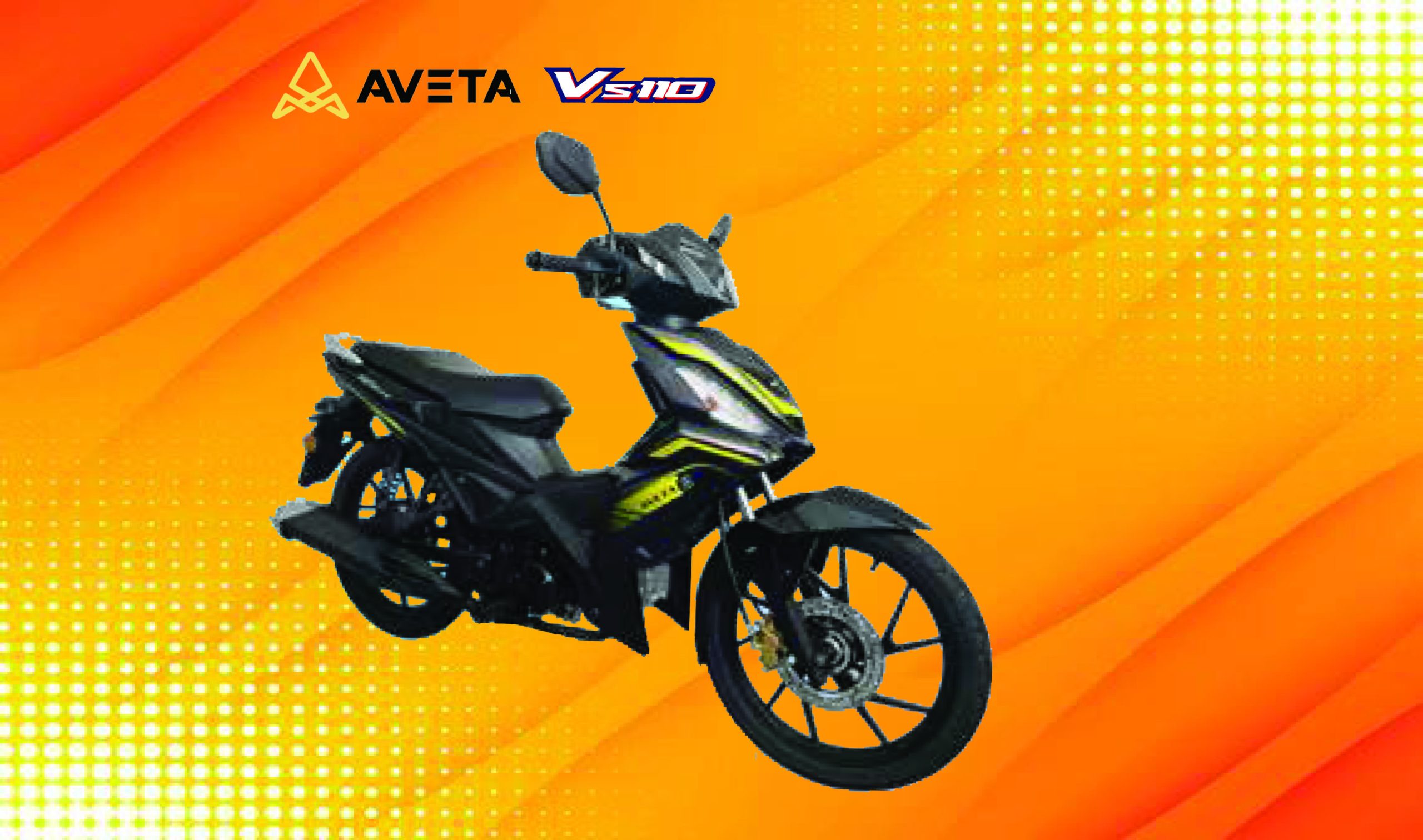AVETA VS110 (Disc Brake) – Max Speed Motors