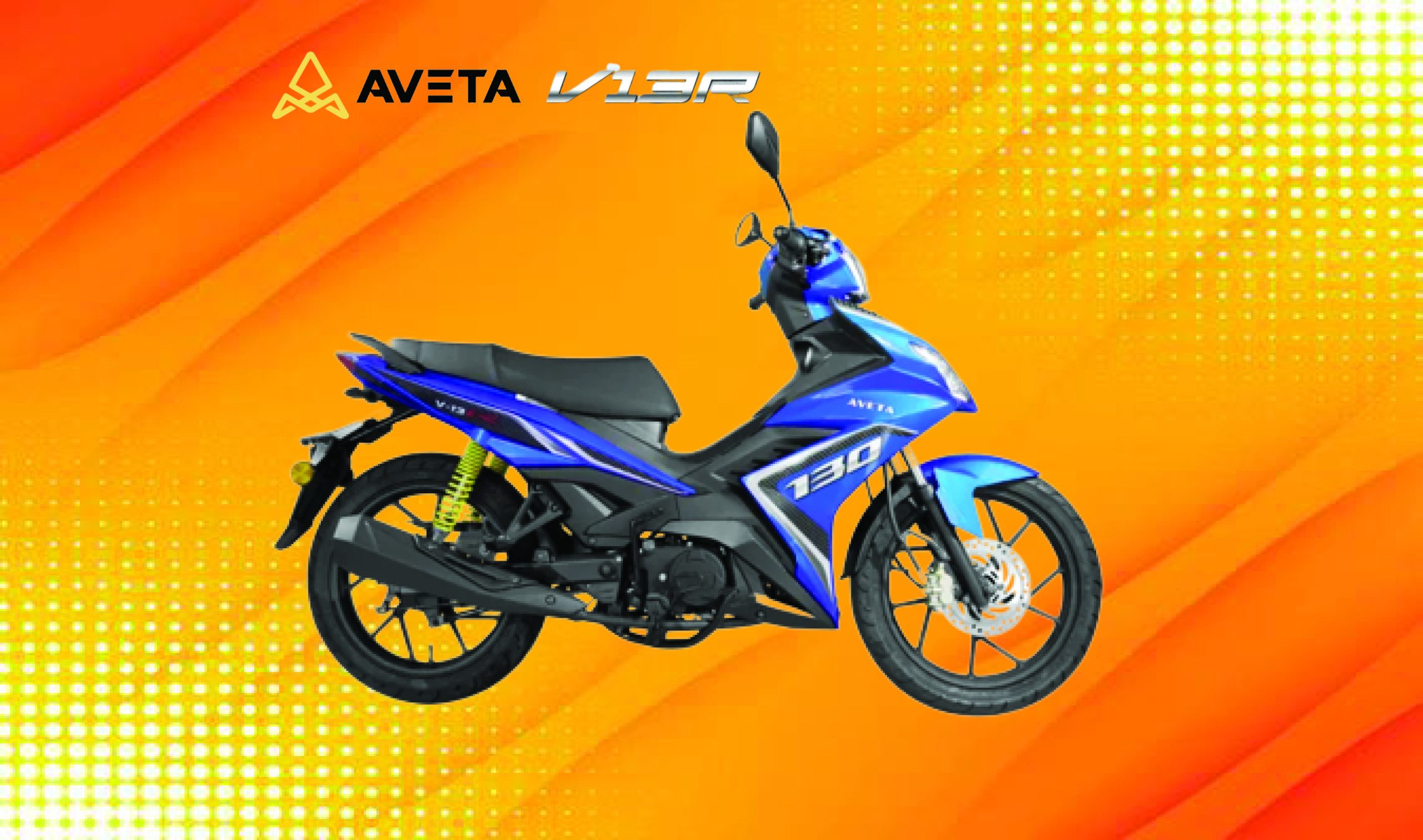 AVETA V13R – Max Speed Motors