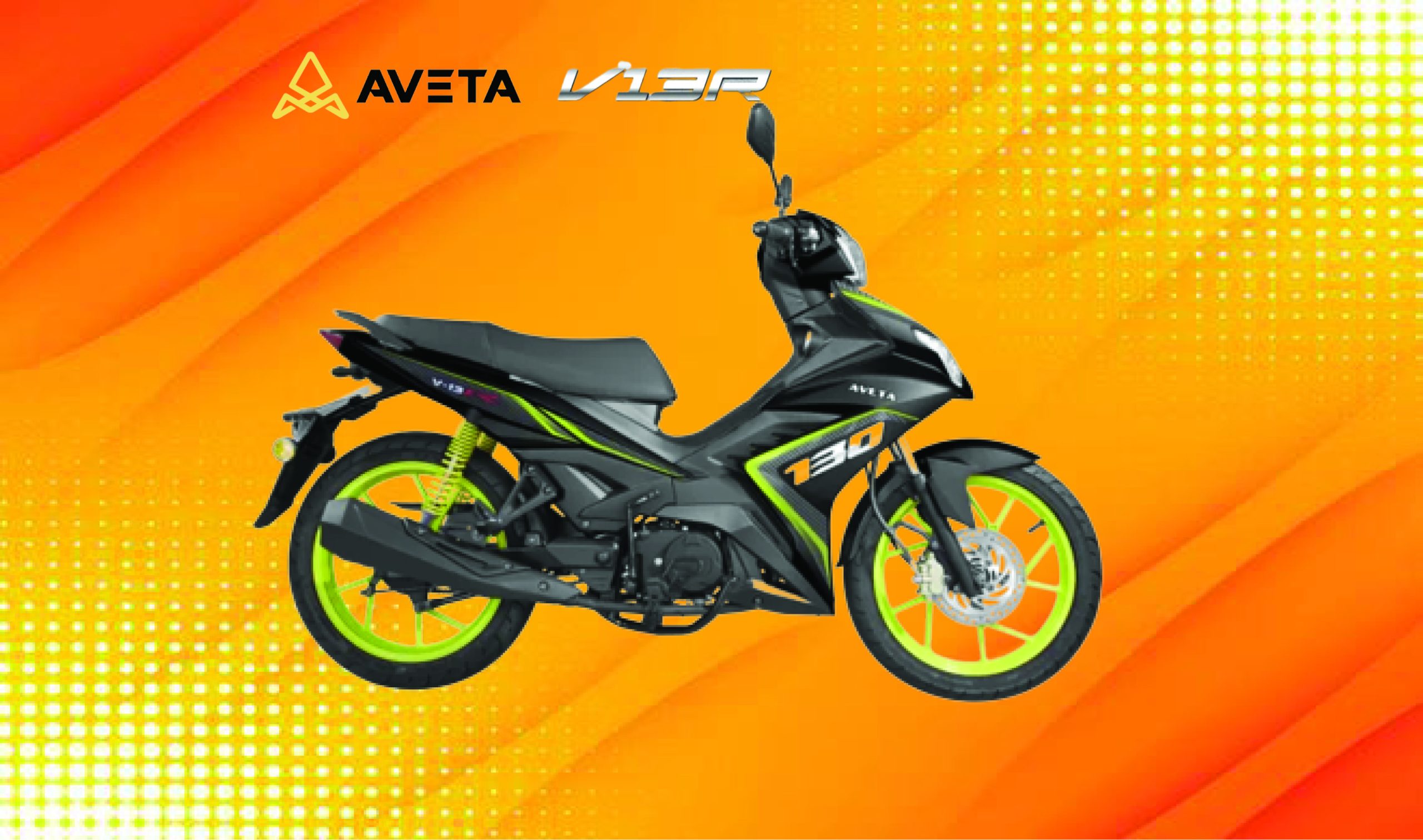 AVETA V13R – Max Speed Motors