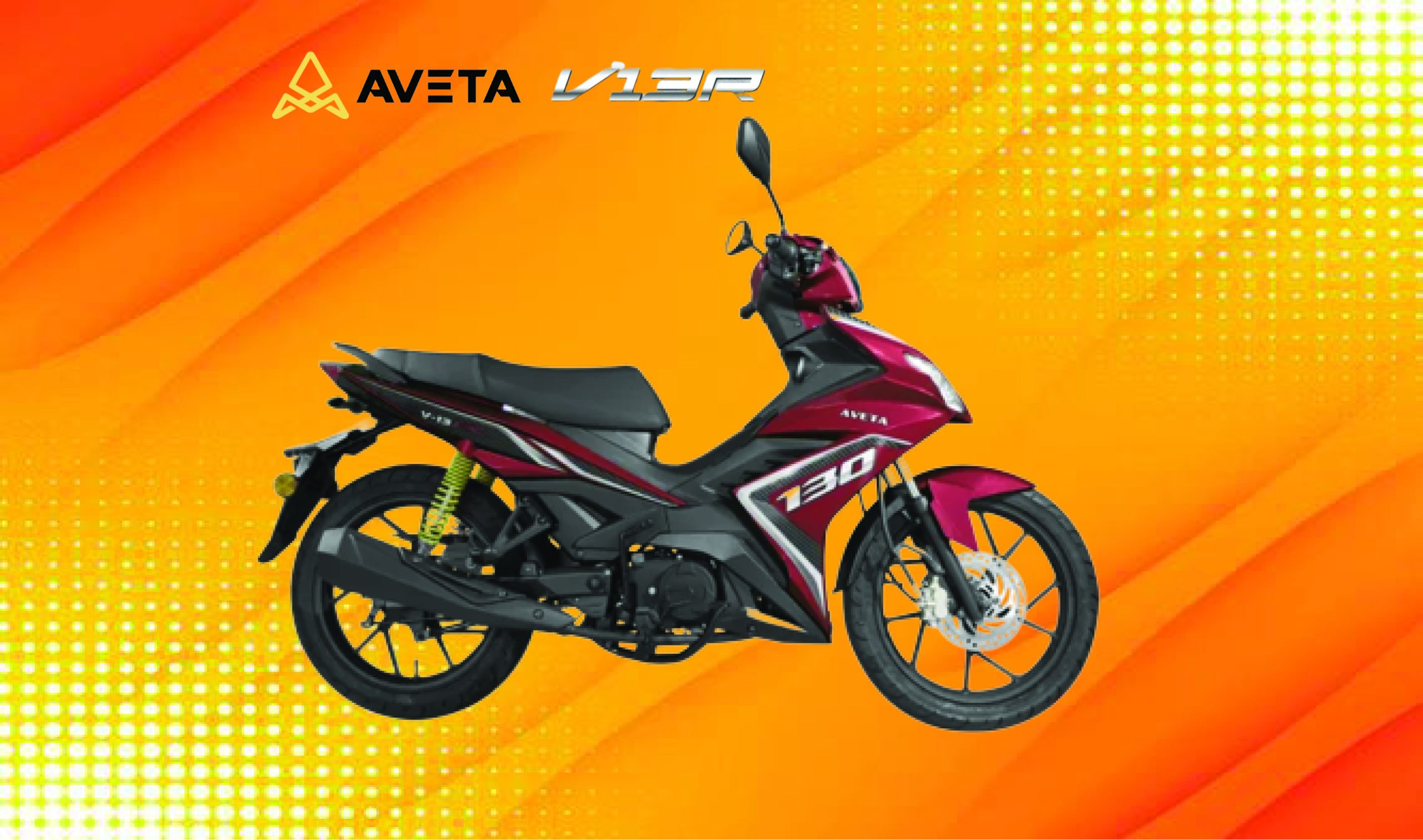 AVETA V13R – Max Speed Motors